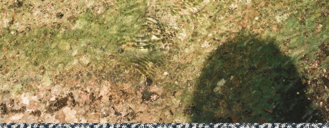 Contact | Austin, TX apartments for rent | 700 River